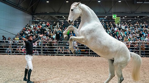 PARTNER PFERD feiert ein grandioses silbernes Jubiläum mit 77.300 ...